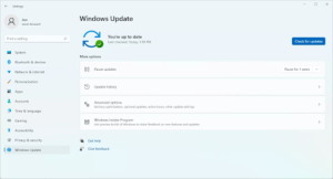 Shutting down a PC when the Windows 10/11 update is under progress ...