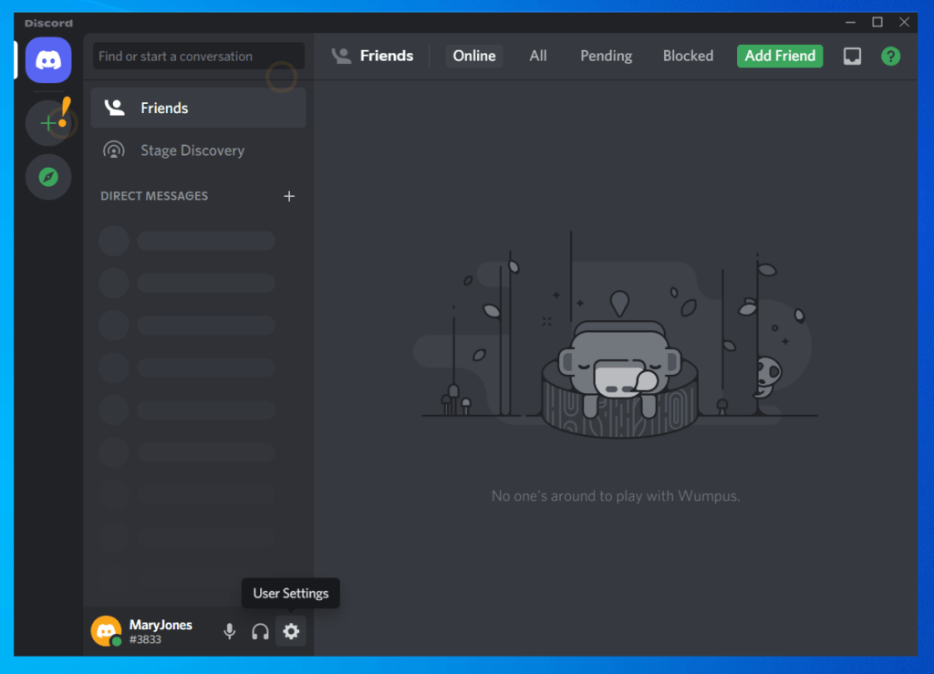 How to Fix Discord Green Screen Camera Issue? — Auslogics Blog