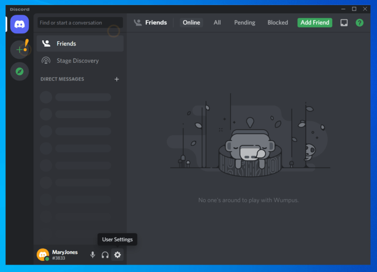 How to Fix Discord Green Screen Camera Issue? — Auslogics Blog
