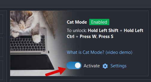 Why Do Cats Walk on Keyboards? Cat Proof PC — Auslogics Blog